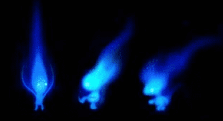 O que significa fátuo? – Definição e sinônimos desta palavra