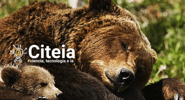 Wat betekent lethargie? – Alle symptomen en oorzaken