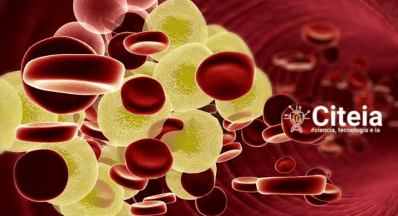 ¿Qué significa Colesterol LDL alto? Cuidados y control