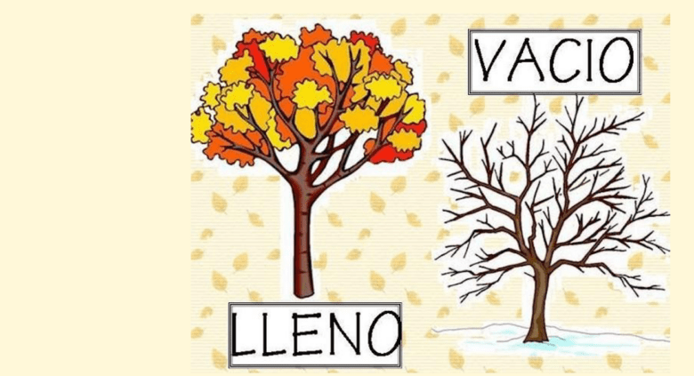 Wat betekent synoniem en antoniem? – Antwoorden en voorbeelden