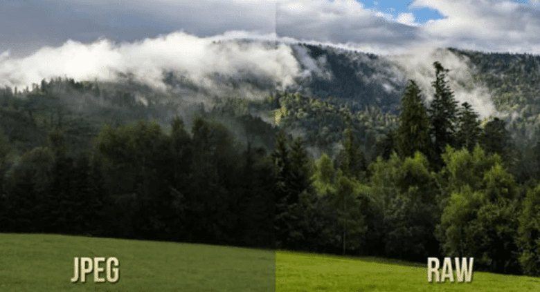 ¿Qué significa RAW? – significado y Formato de fotografías